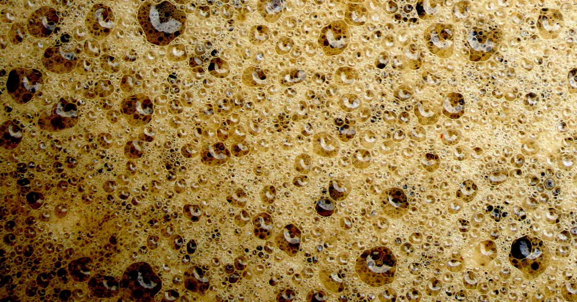 La fermentation, c’est quoi ? – Grain d'Ivresse